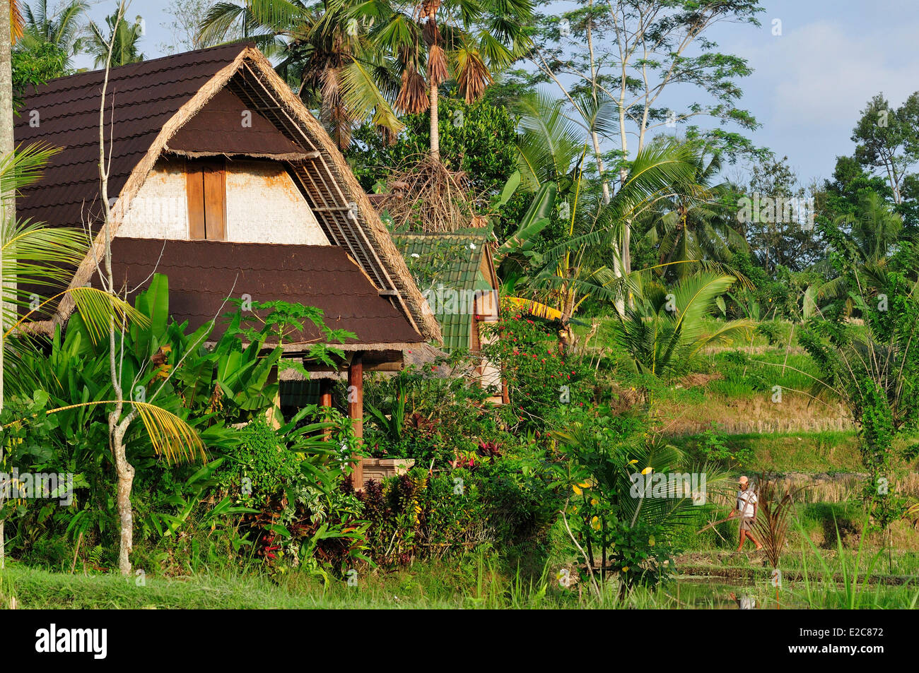 Indonesia, Bali, Ubud, hotel among the rice fields Stock Photo - Alamy