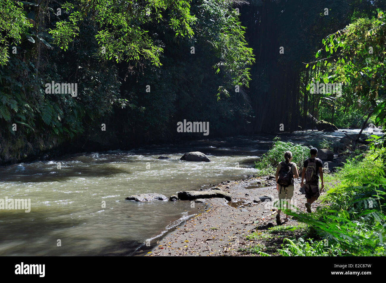 Indonesia, Bali, Ubud, hiking in the valley of Sungai Ayung river Stock ...