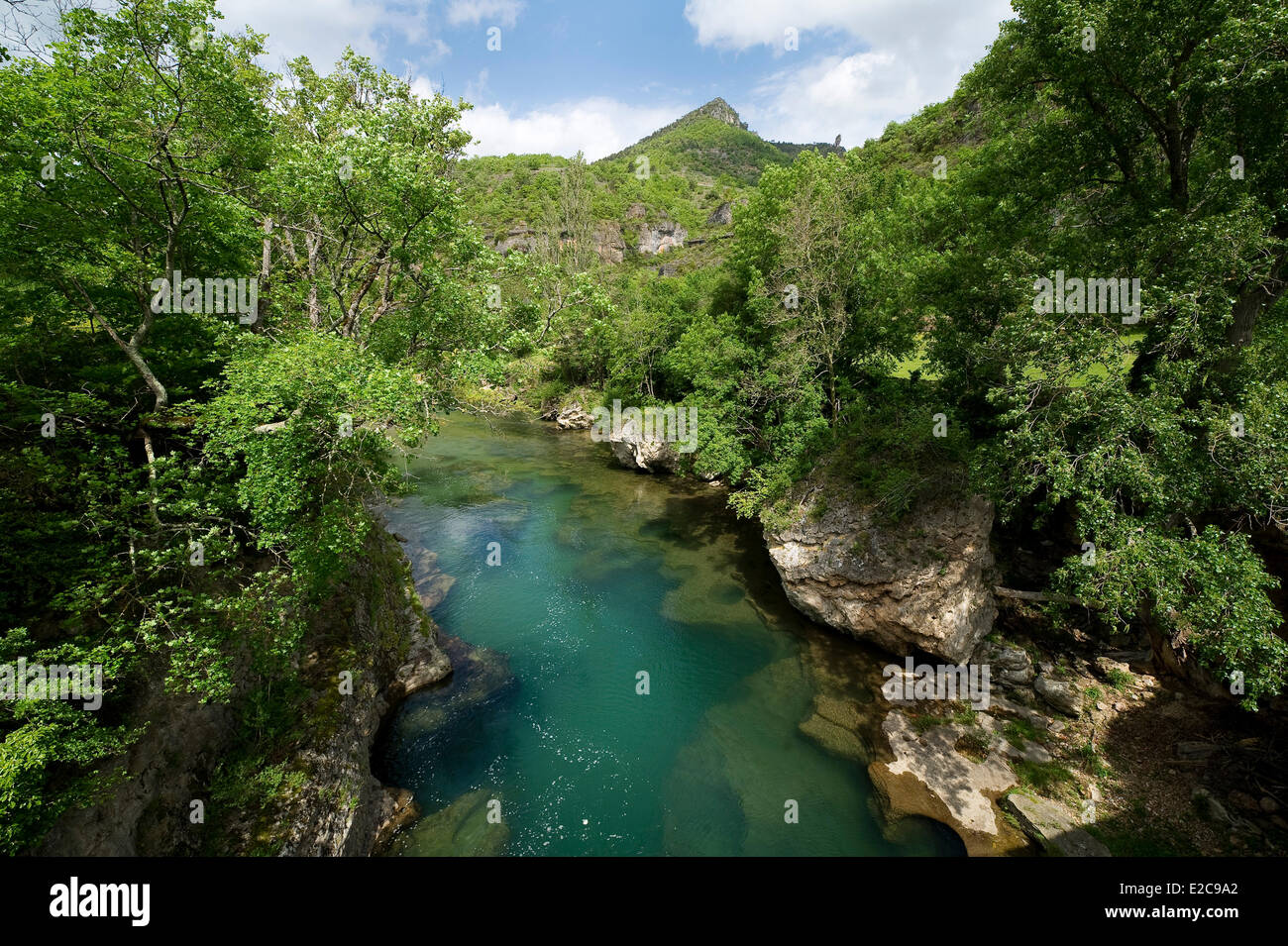 France, Aveyron, Nant, Dourbie Gorge from the deck of the mill body ...