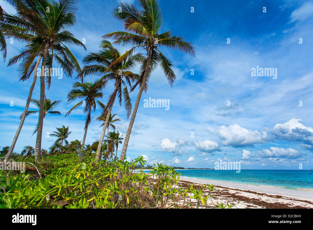 Bahamas, Eleuthera Island, Double Bay Beach Stock Photo - Alamy