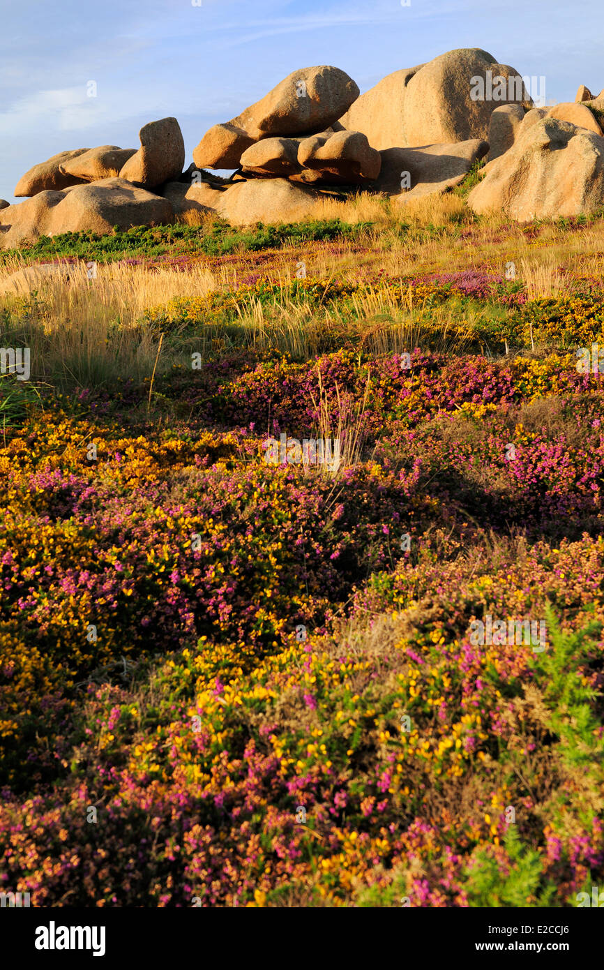 France, Cotes d'Armor, Cote de Granit Rose (Pink Granite Coast ...