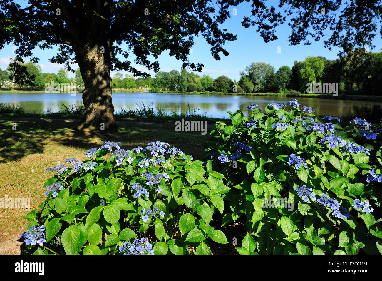 Plemet hi-res stock photography and images - Alamy