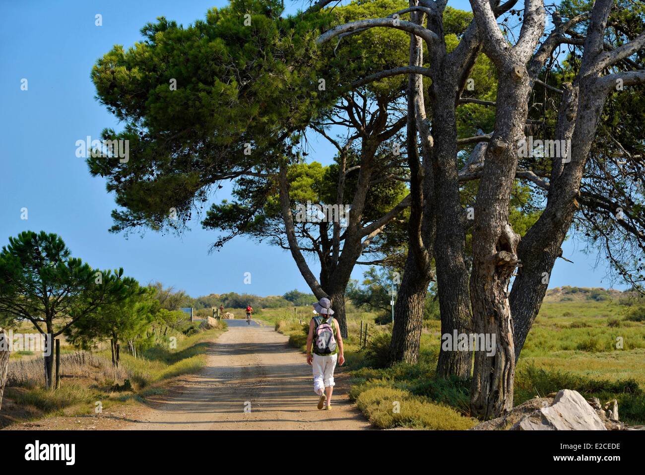 France, Herault, Serignan, Domaine des Orpellieres, walker on a path of ...