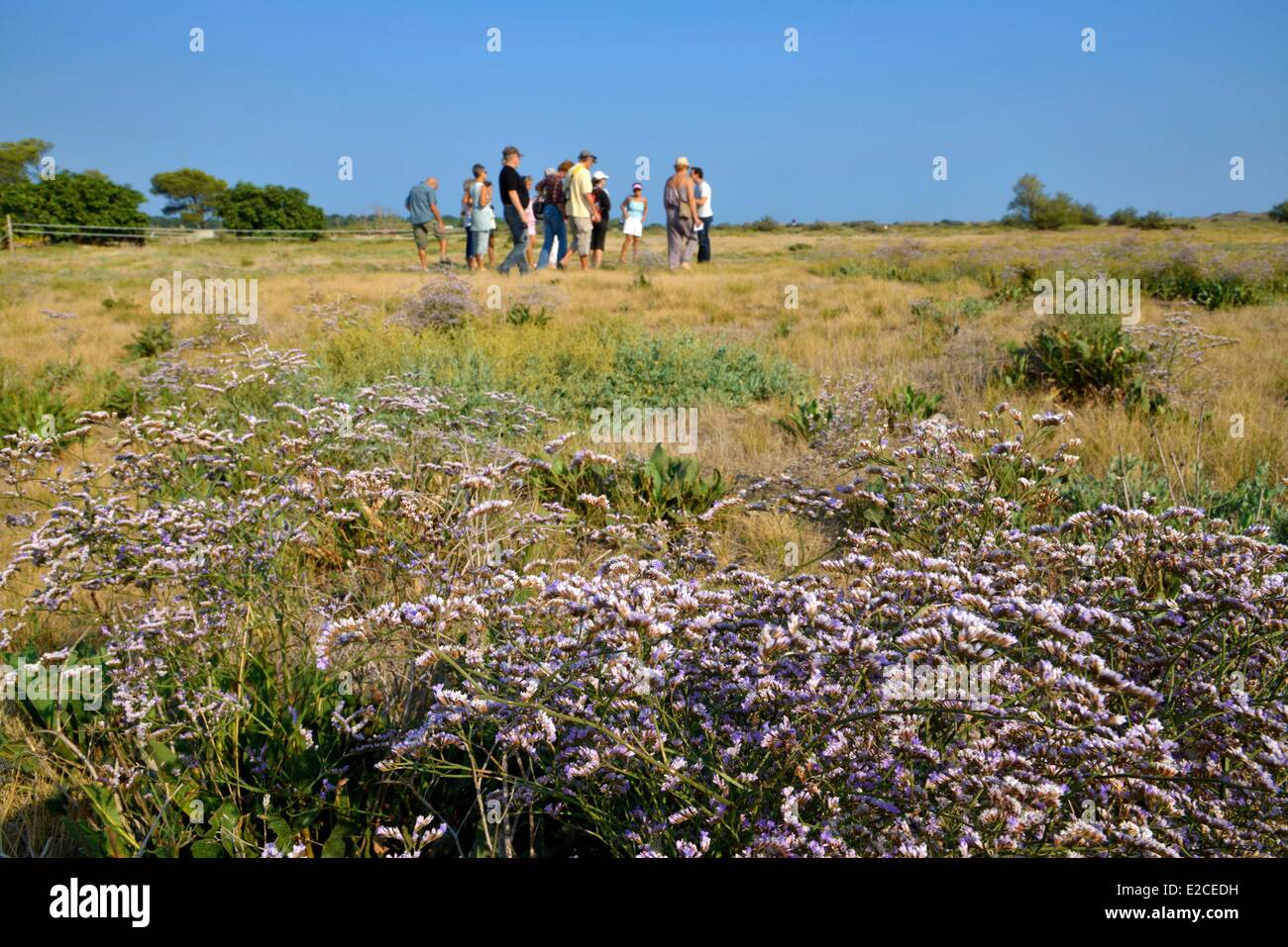 France, Herault, Serignan, Domaine des Orpellieres, guided tour of a ...