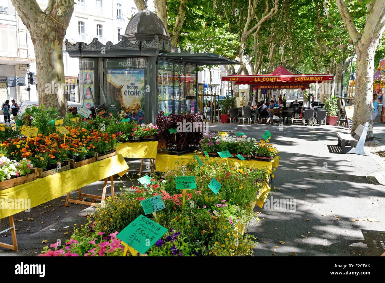 France, Herault, Beziers, Paul Riquet path, flower market in the shade ...