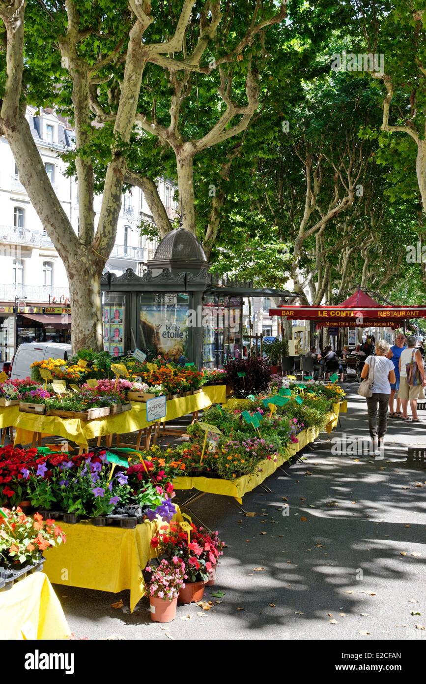 France, Herault, Beziers, Paul Riquet path, flower market in the shade ...