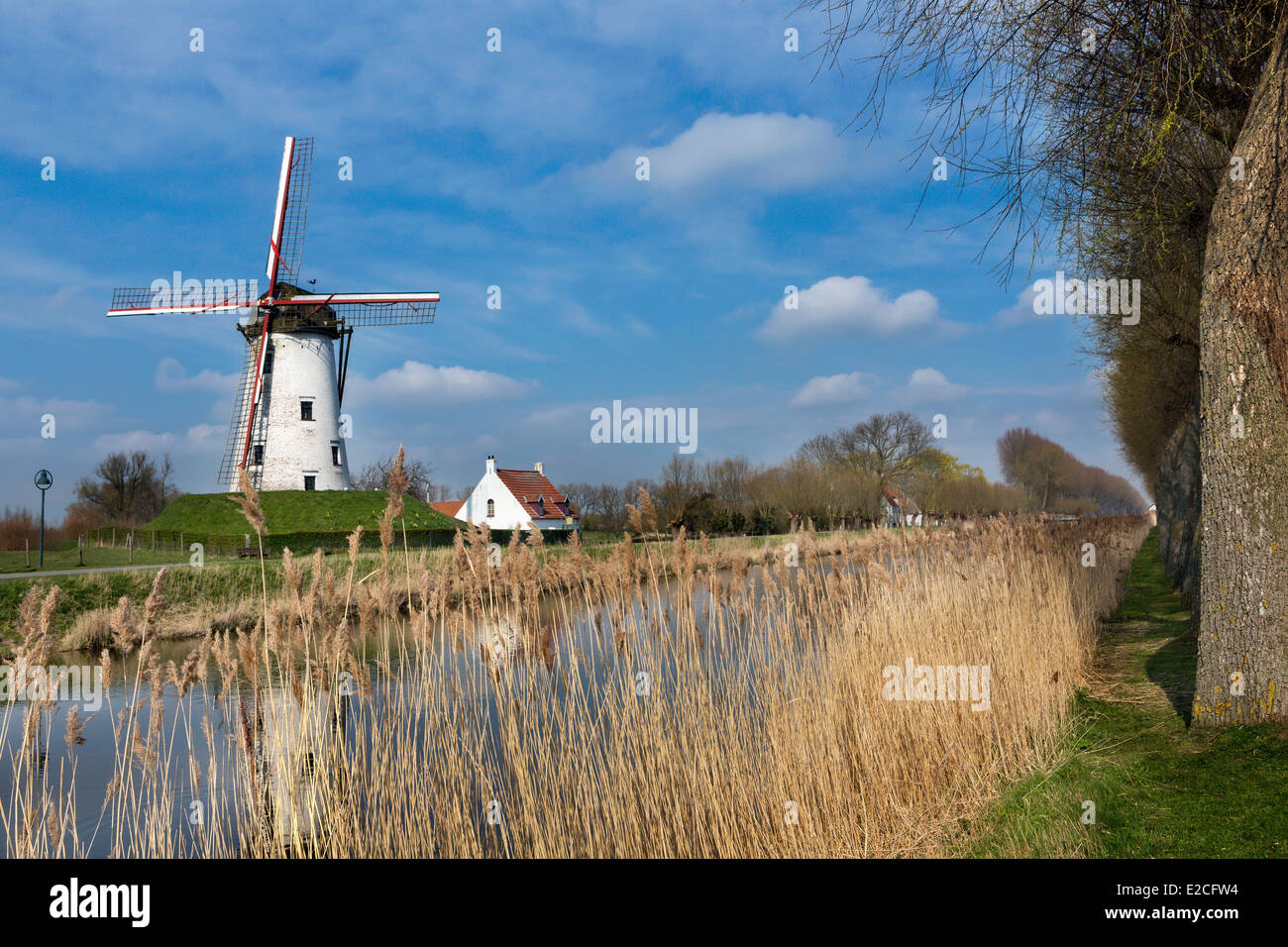 Windmill of Damme, one of the most beautiful villages in Flanders ...