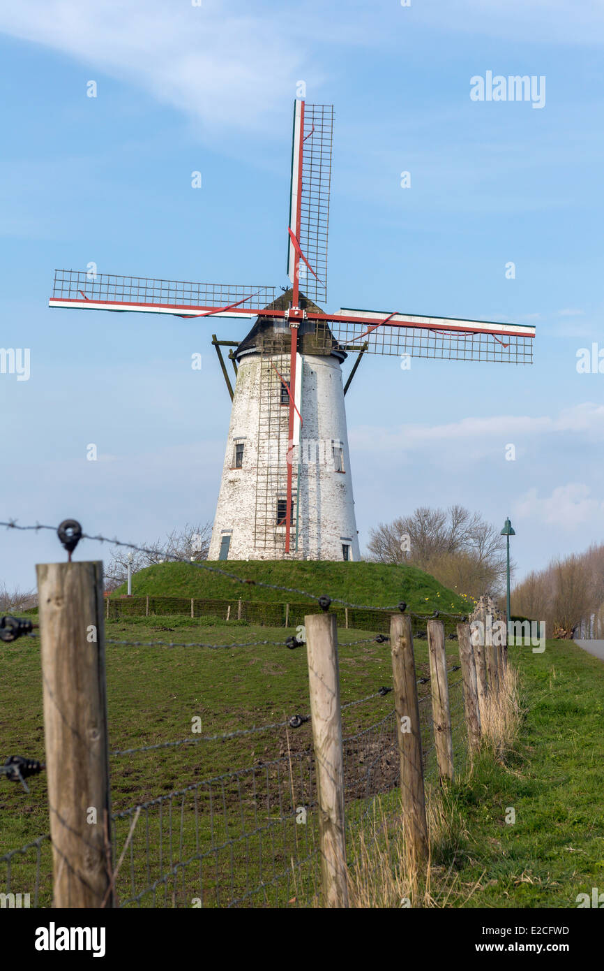 Windmill damme bruges belgium hi-res stock photography and images - Alamy