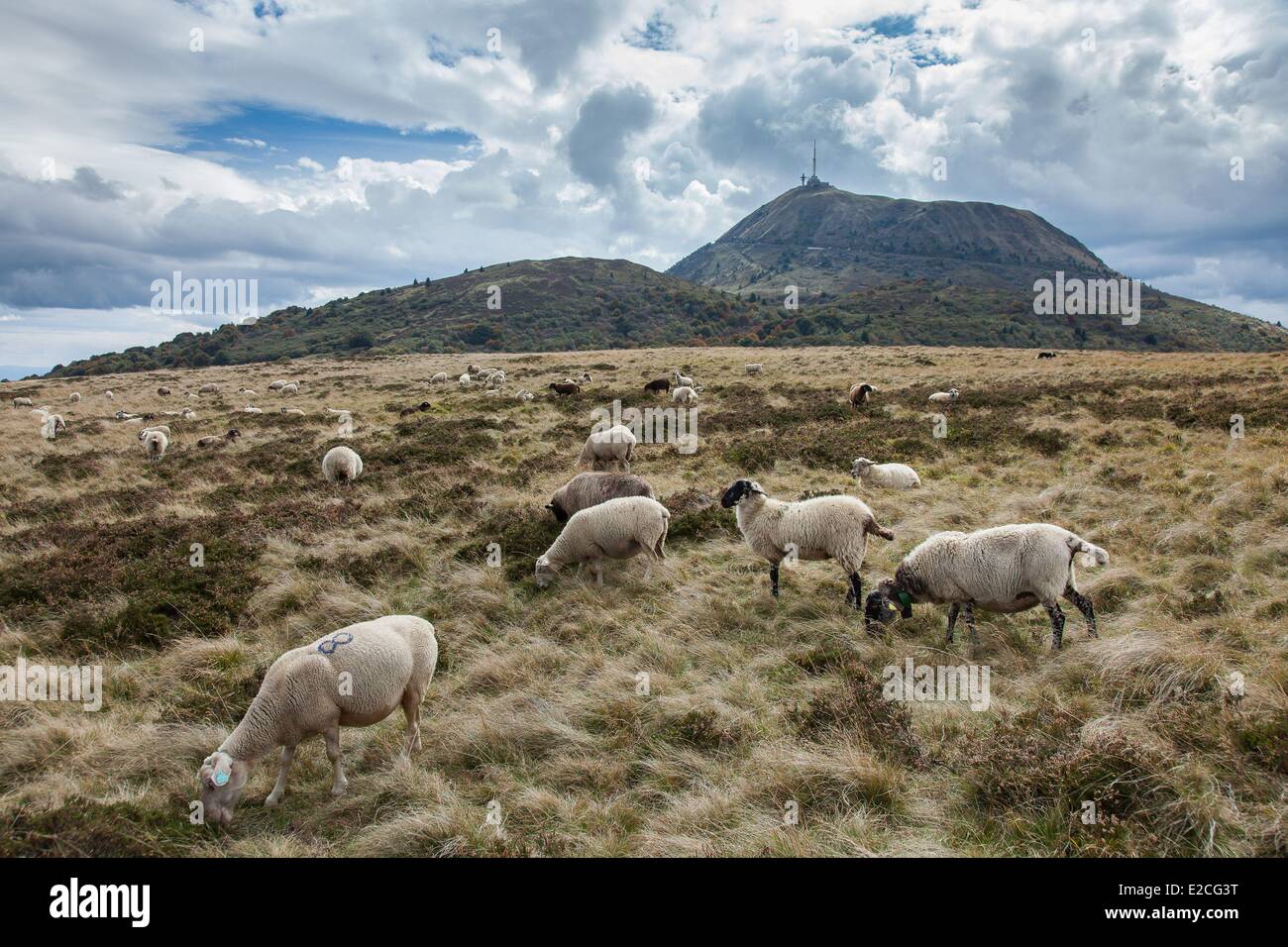 Volcanoes in france hi-res stock photography and images - Alamy