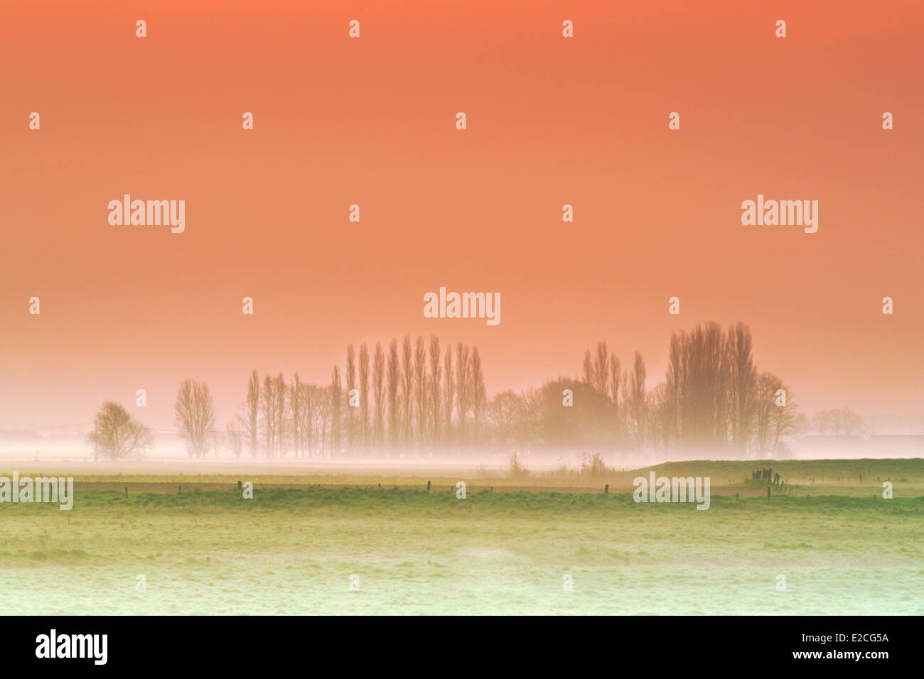 Hazy background hi-res stock photography and images - Alamy