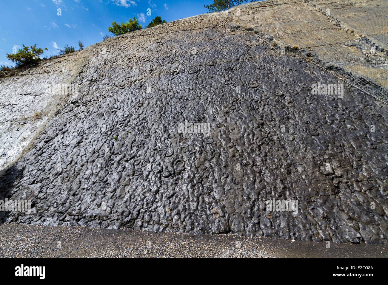 France, Alpes de Haute Provence, Geologic Nature reserve of Haute ...