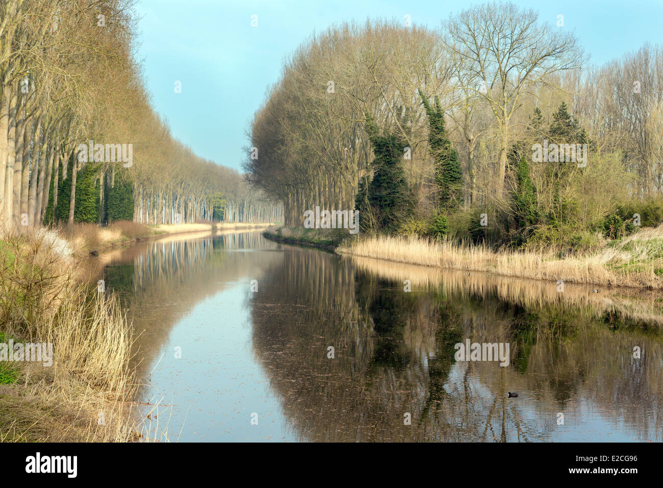Damme canal hi-res stock photography and images - Alamy