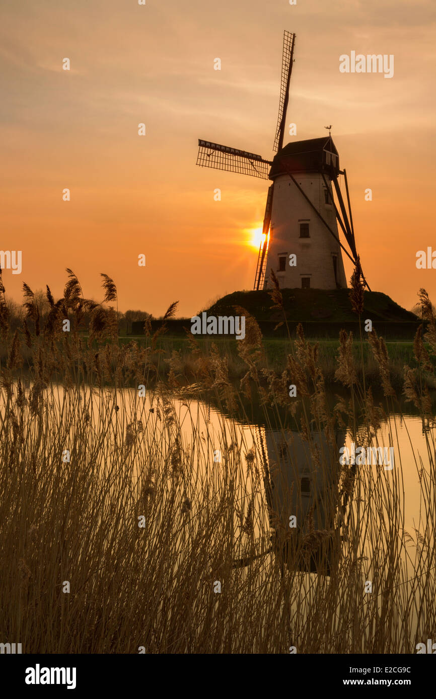 Windmill of Damme, one of the most beautiful villages in Flanders ...