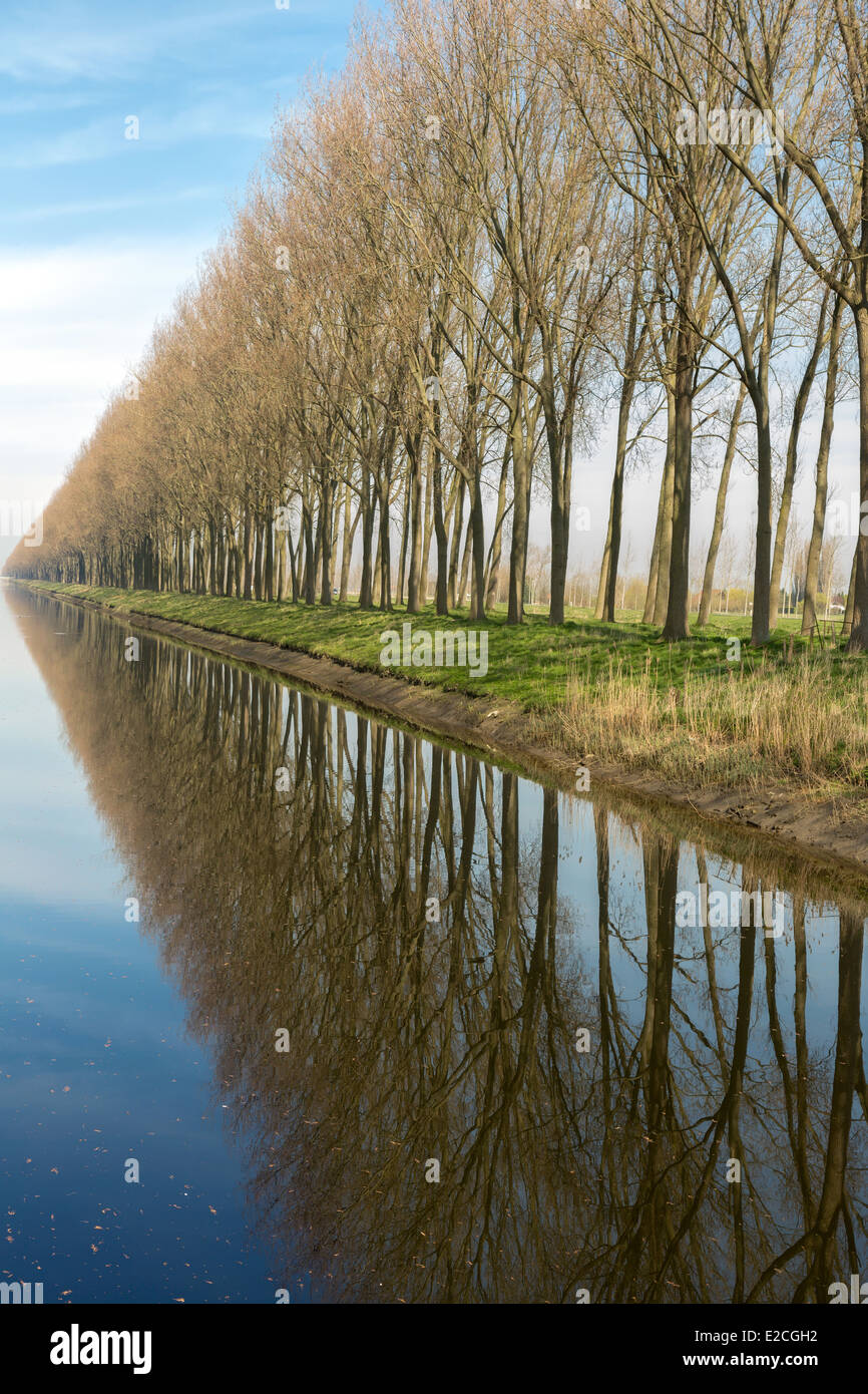 Damse vaart canal hi-res stock photography and images - Alamy