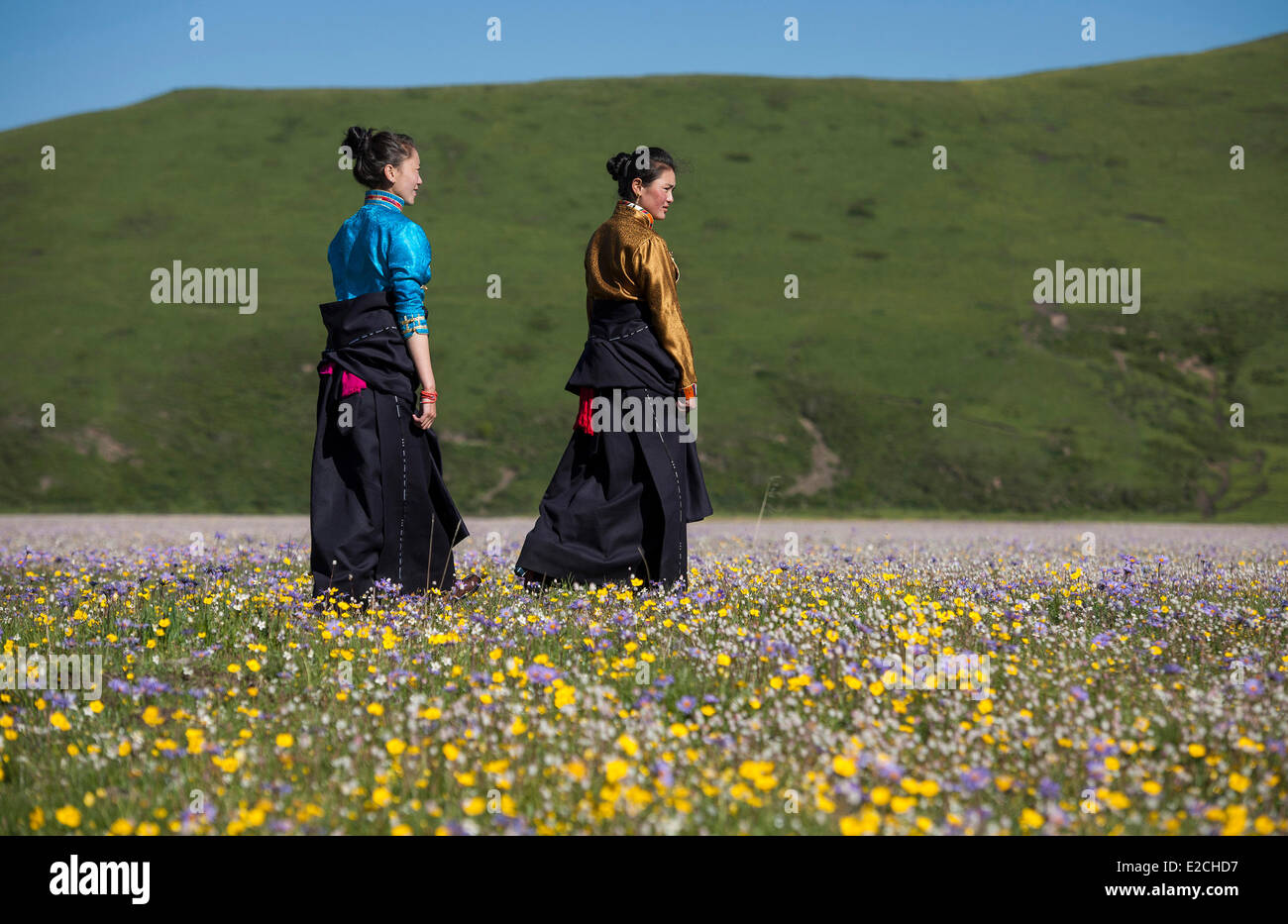 Hongyuan, China's Sichuan Province. 19th June, 2014. Girls walk among ...