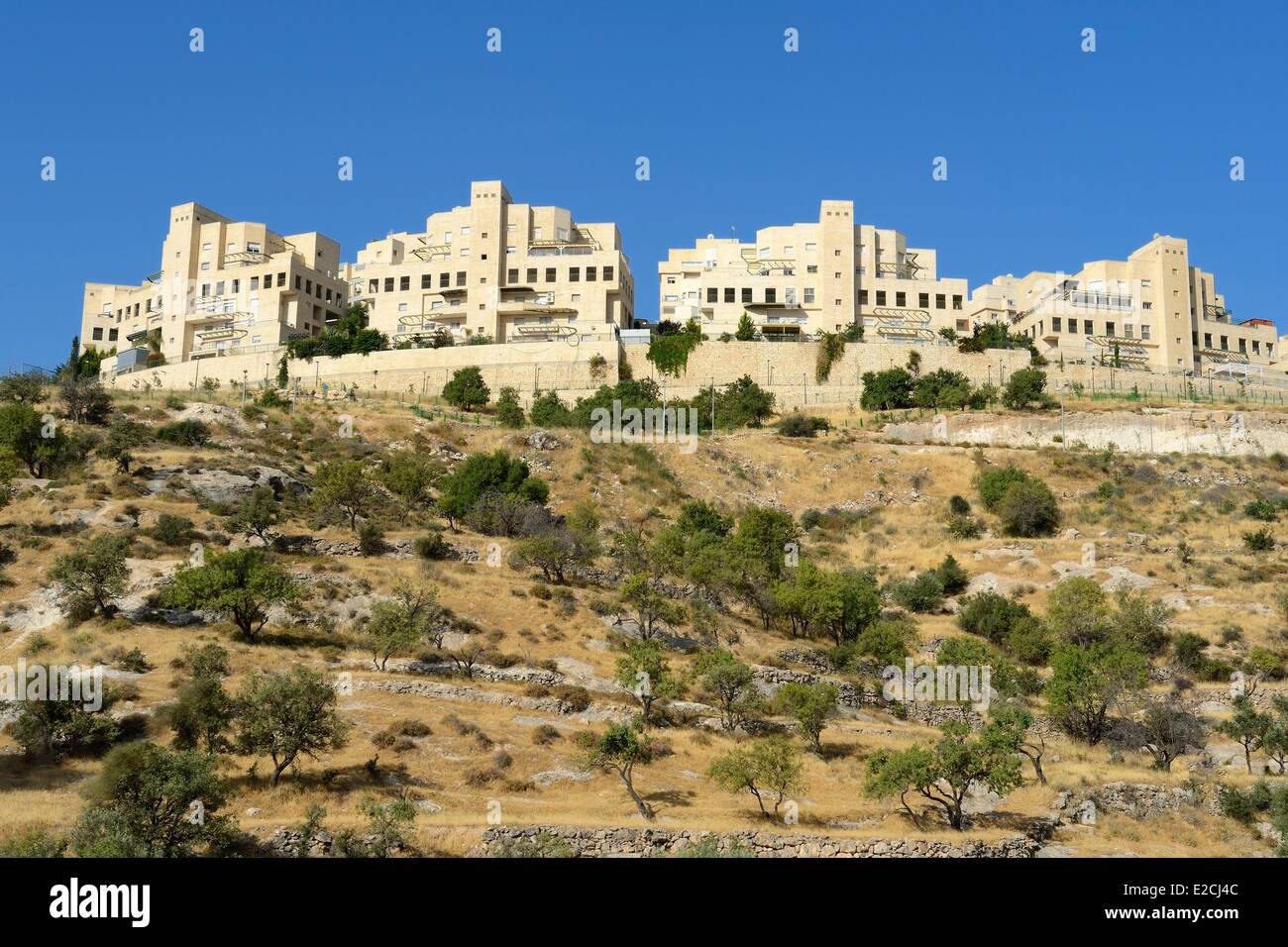 Homat hi-res stock photography and images - Alamy