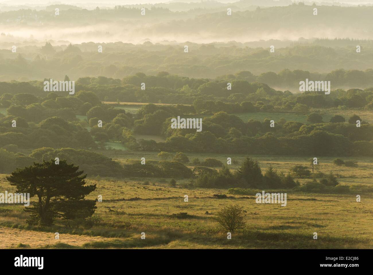 France, Finistere, Parc Naturel Regional d'Armorique (Armorica Natural ...