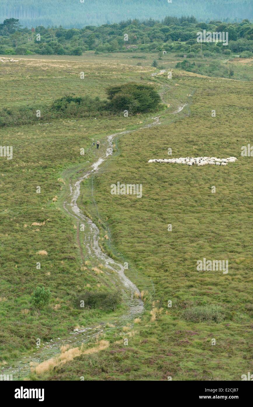 France, Finistere, Parc Naturel Regional d'Armorique (Armorica Natural ...