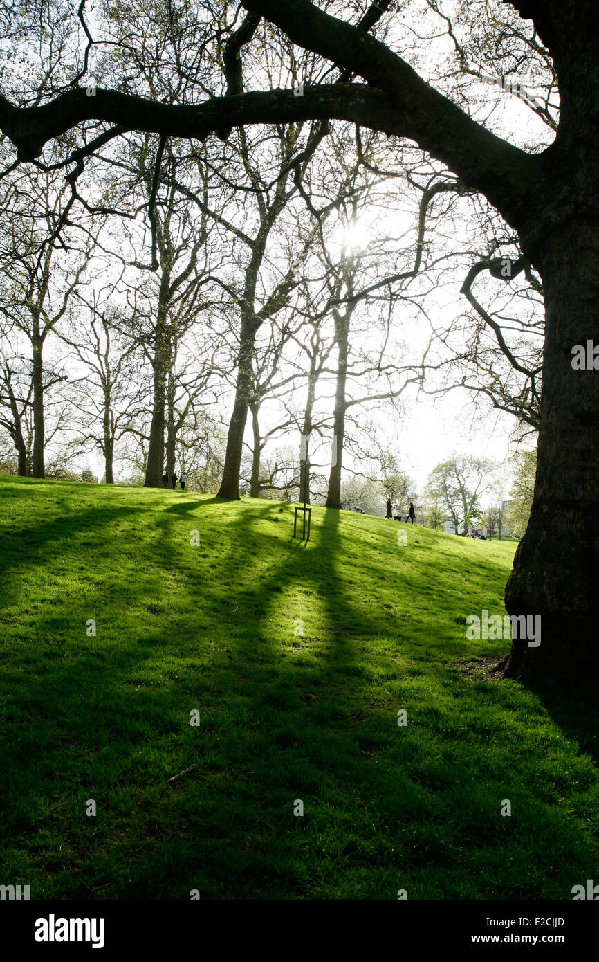 Early springtime in Green Park, London, UK Stock Photo - Alamy