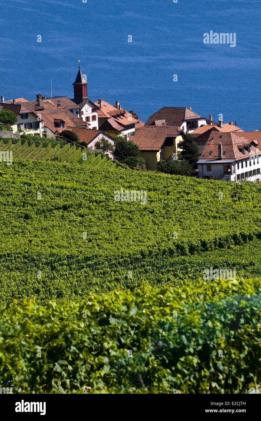 Switzerland, Canton of Vaud, Lavaux Vineyard Terraces listed as World ...