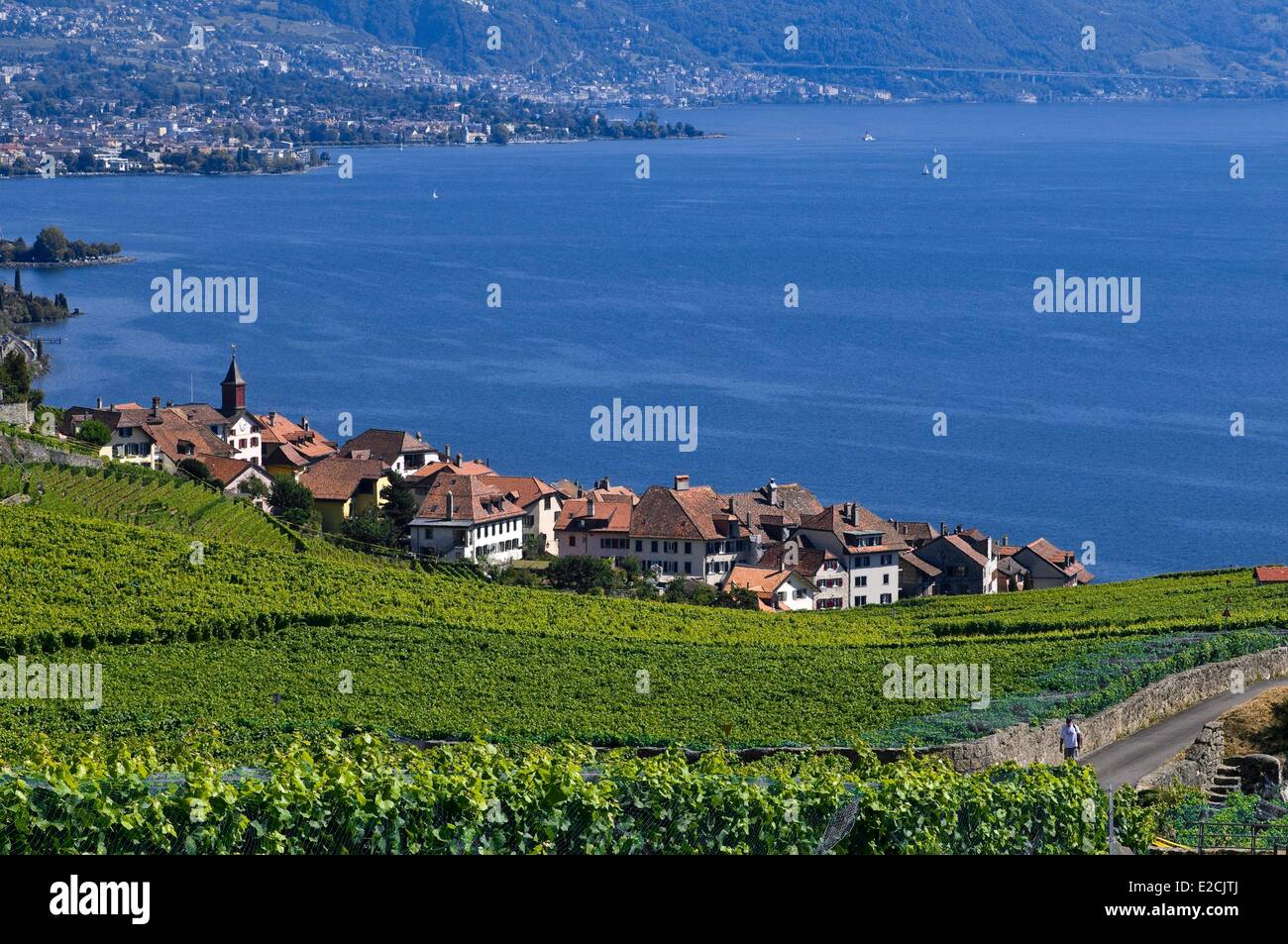 Switzerland, Canton of Vaud, Lavaux Vineyard Terraces listed as World ...
