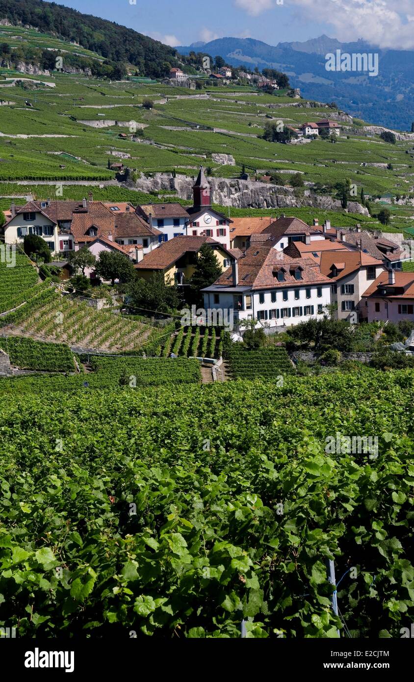 Switzerland, Canton of Vaud, Lavaux Vineyard Terraces listed as World ...