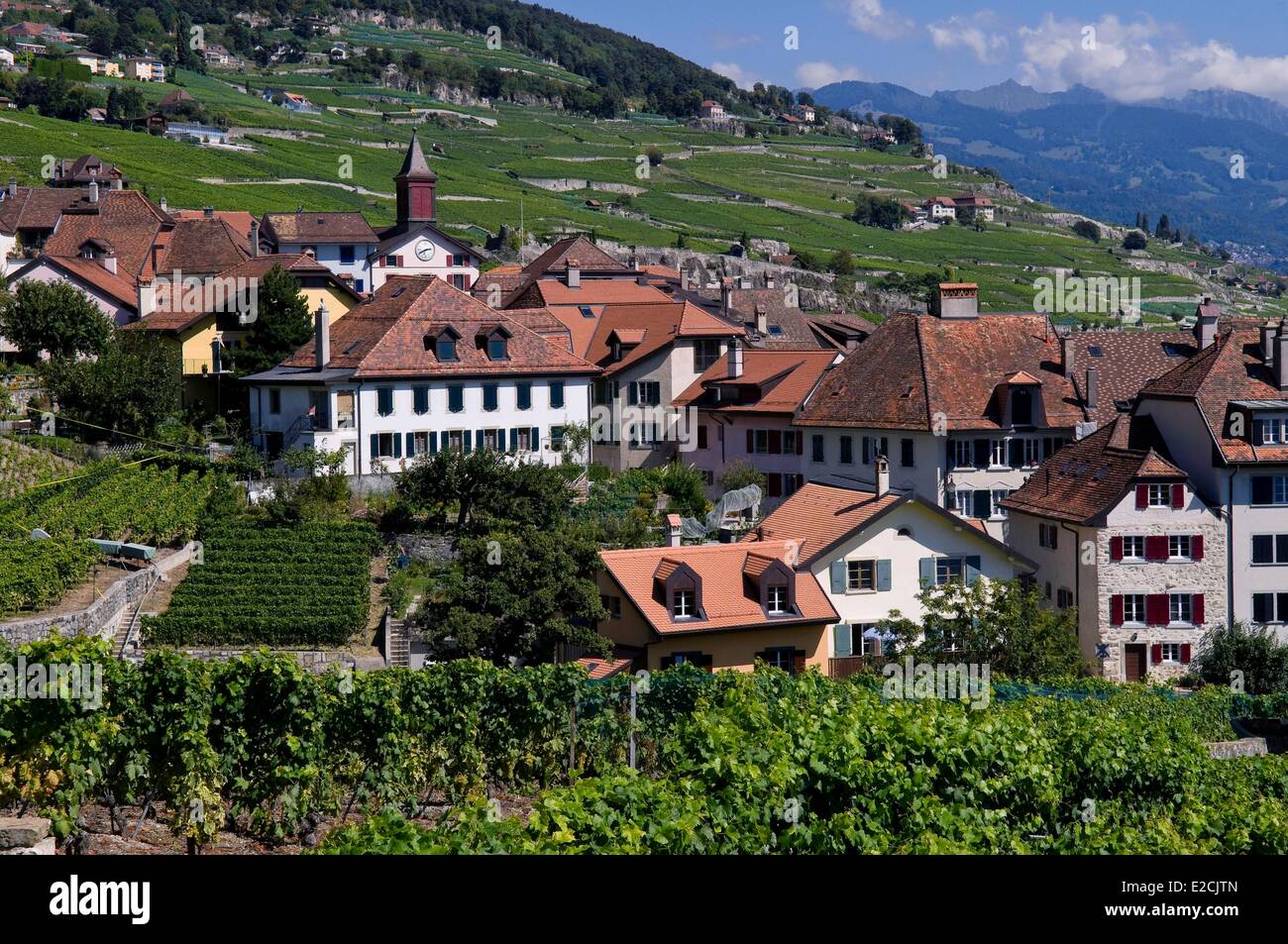Switzerland, Canton of Vaud, Lavaux Vineyard Terraces listed as World ...