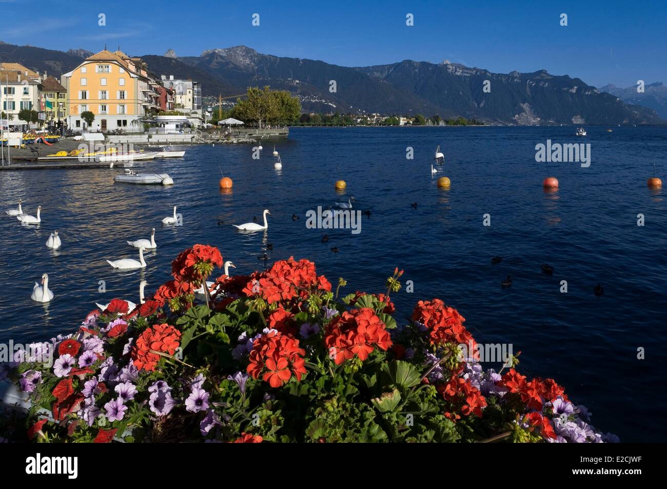 Switzerland, Canton of Vaud, Vevey, Surt Great Place on Lake Geneva ...