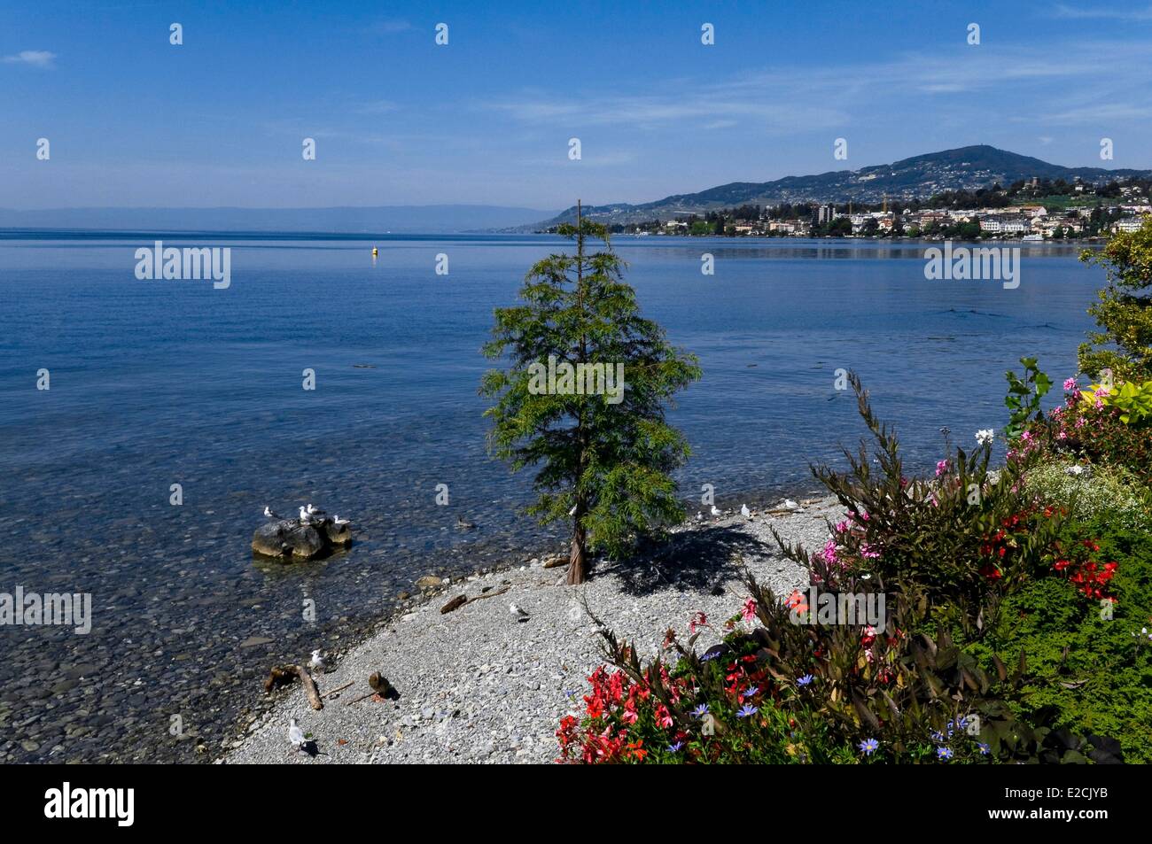 Switzerland, Canton of Vaud, Montreux, on Lake Geneva Quai Rovenaz ...