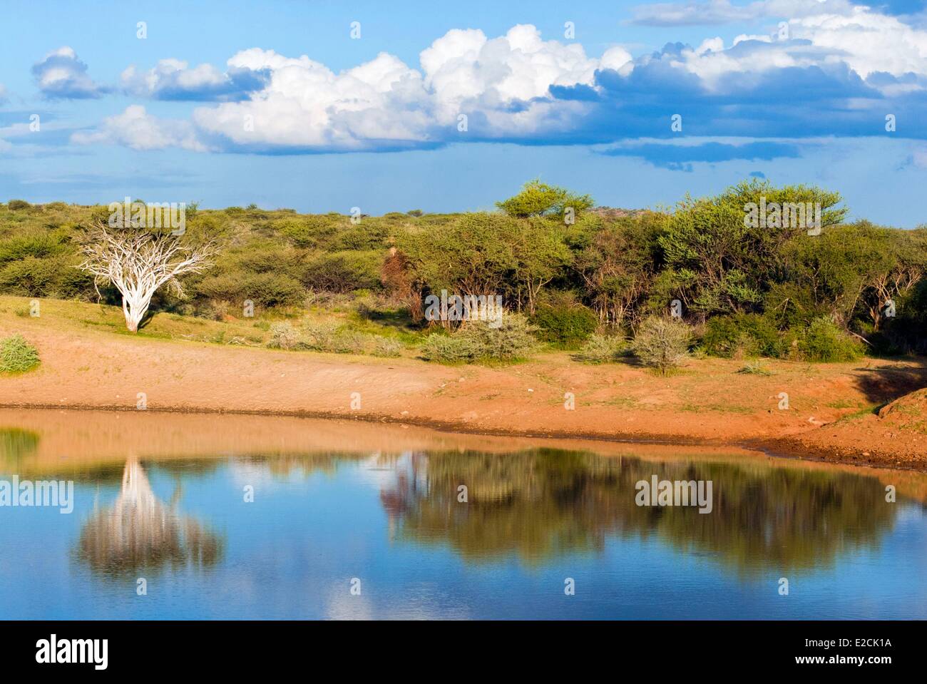 Namibia, Kunene region, Lake at Ongava Game Reserve Stock Photo - Alamy