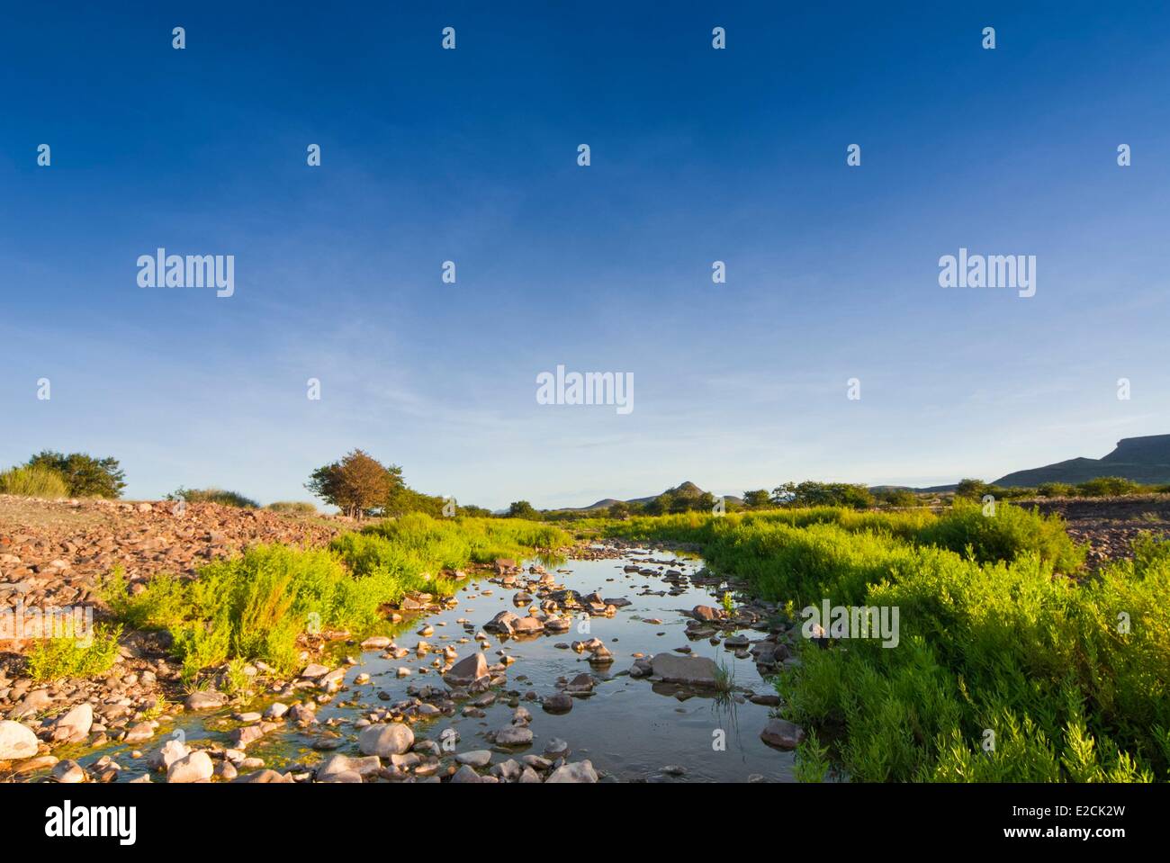 Namibia, Kunene region, Damaraland, creek Stock Photo - Alamy