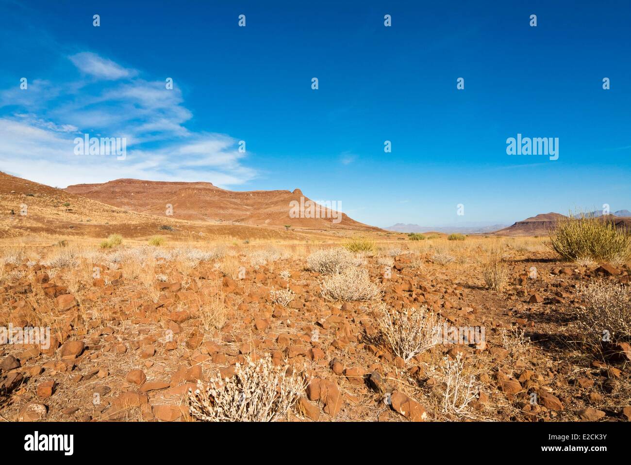 Namibia, Kunene region, Damaraland, Torra Conservancy, Huab River ...