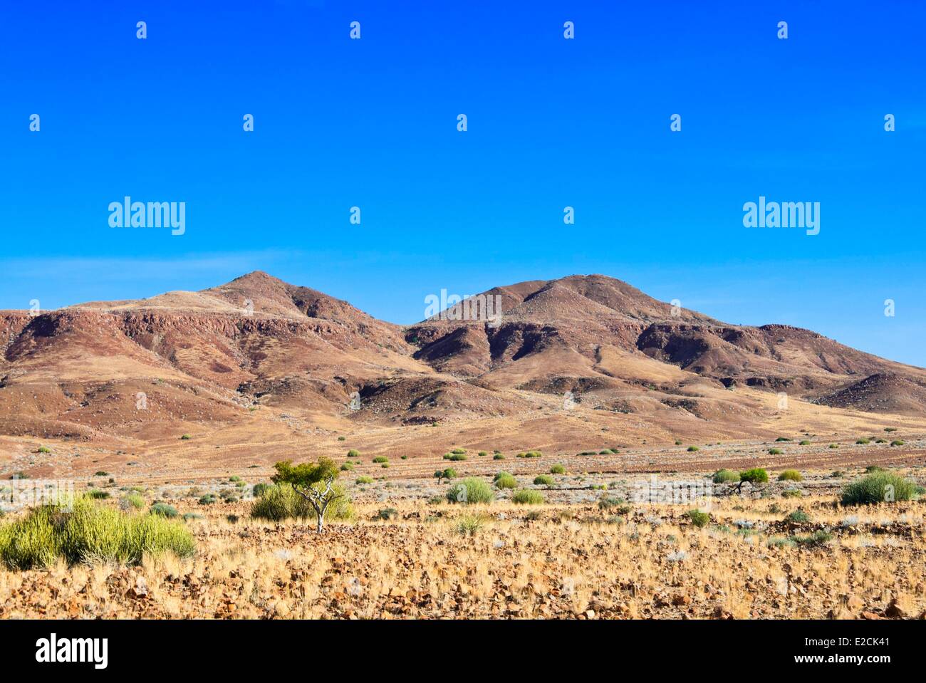 Namibia, Kunene region, Damaraland, Torra Conservancy, Huab River ...