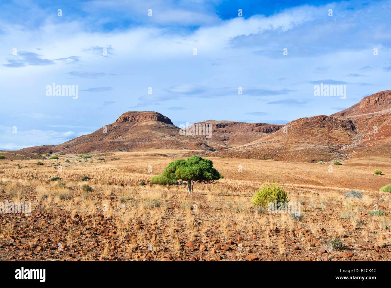 Namibia, Kunene region, Damaraland, Torra Conservancy, Huab River ...