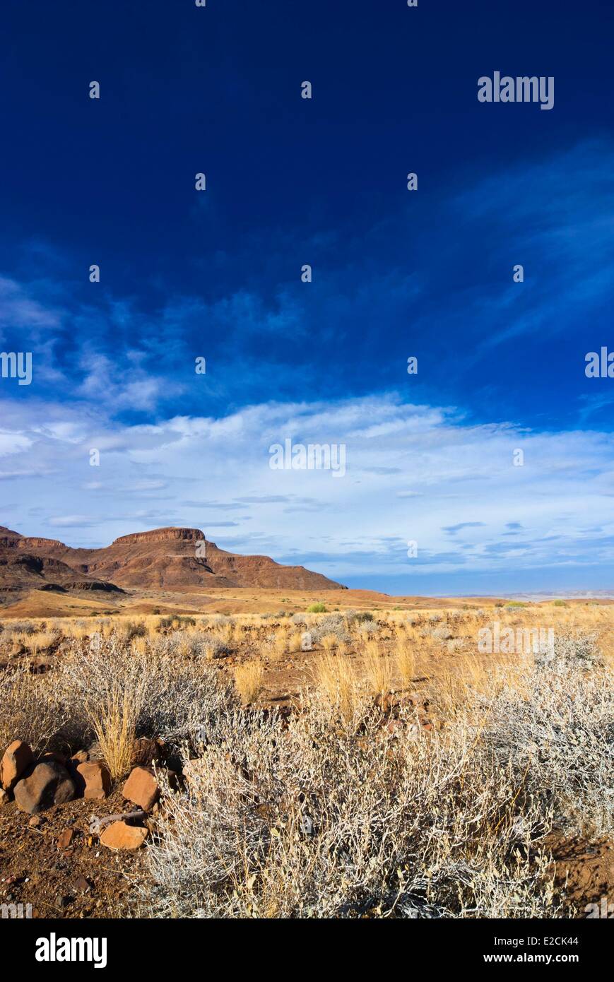 Huab river valley area damaraland hi-res stock photography and images ...