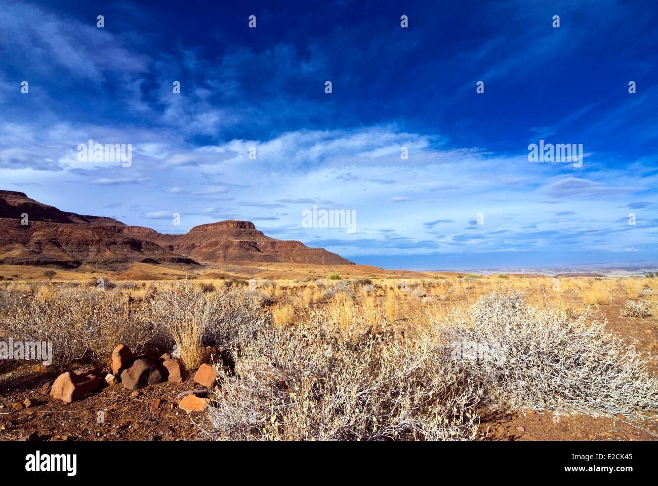 Namibia, Kunene region, Damaraland, Torra Conservancy, Huab River ...