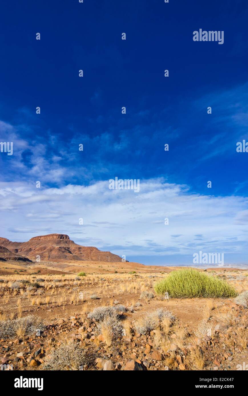 Namibia, Kunene region, Damaraland, Torra Conservancy, Huab River ...