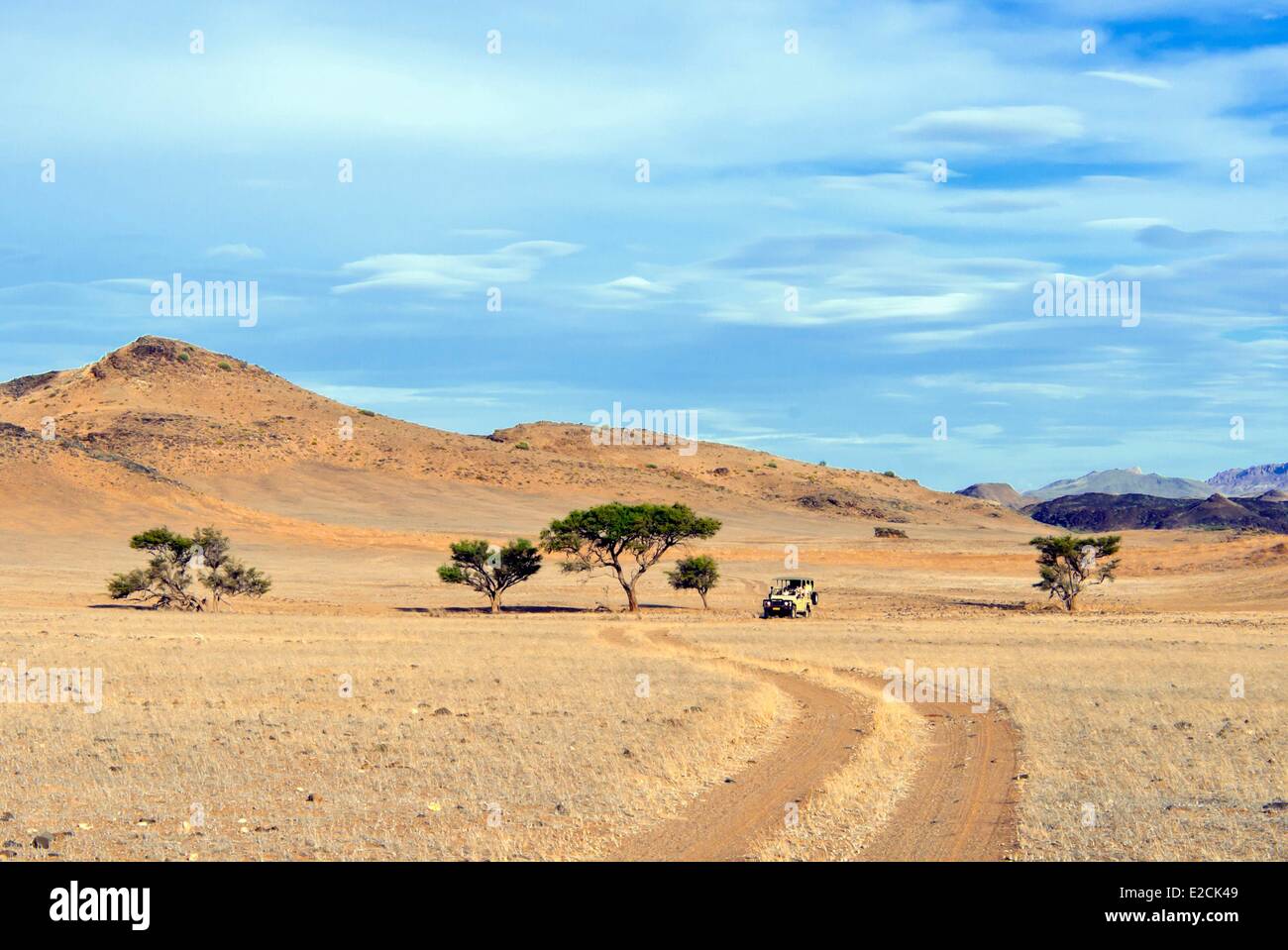 Namibia, Kunene region, Damaraland, Torra Conservancy, Huab River ...