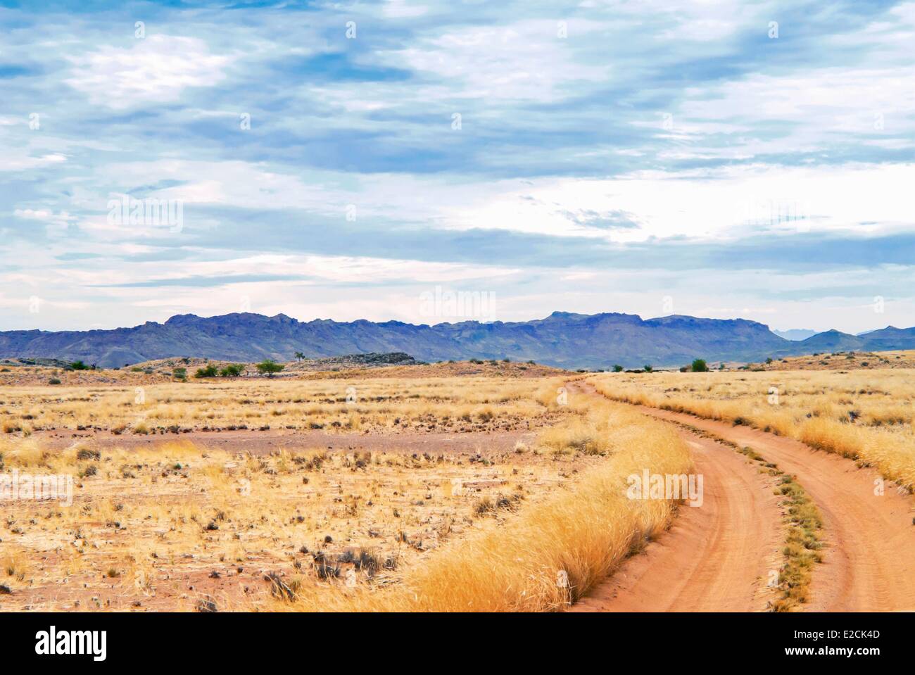 Namibia, Kunene region, Damaraland, Torra Conservancy, Huab River ...