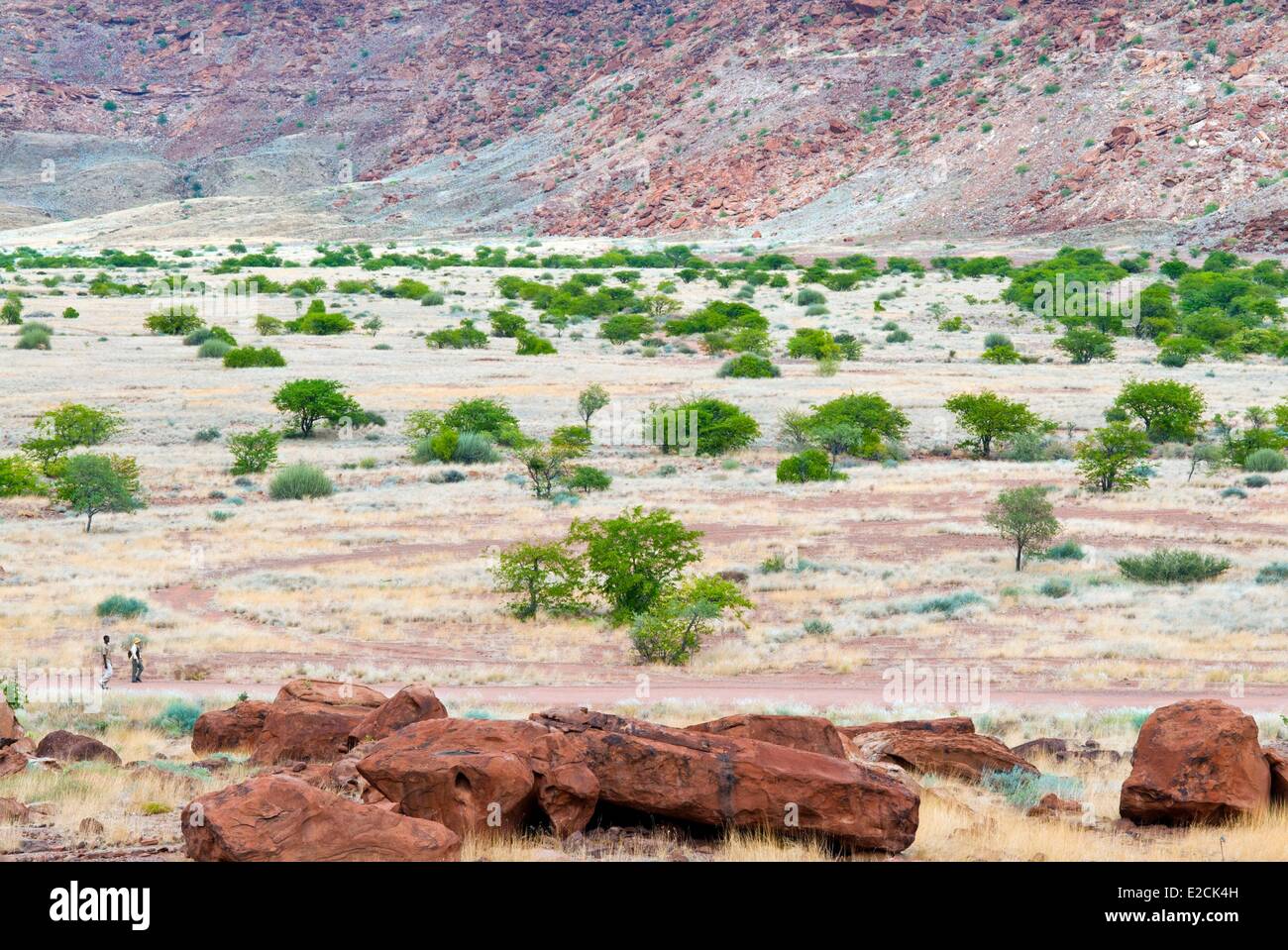Namibia, Kunene region, Damaraland, rock carvings of Twyfeltontein ...
