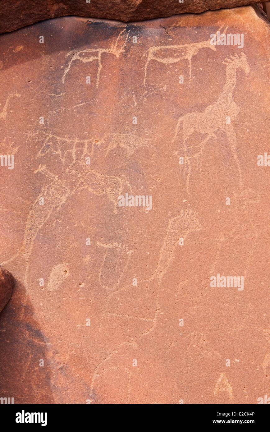Namibia, Kunene region, Damaraland, rock carvings of Twyfeltontein ...