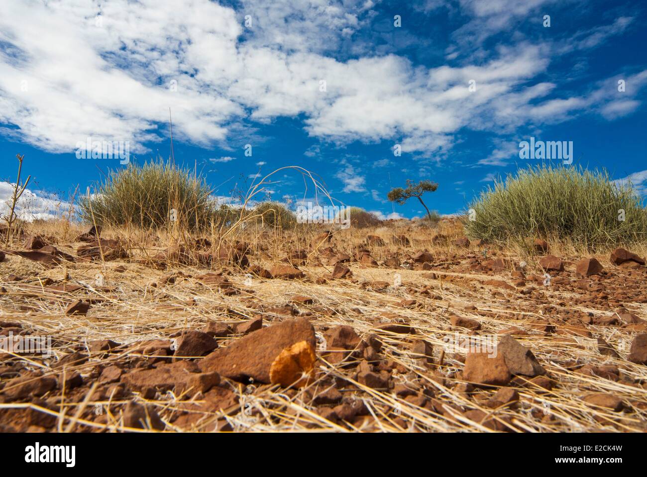 Namibia, Kunene region, Damaraland Stock Photo - Alamy