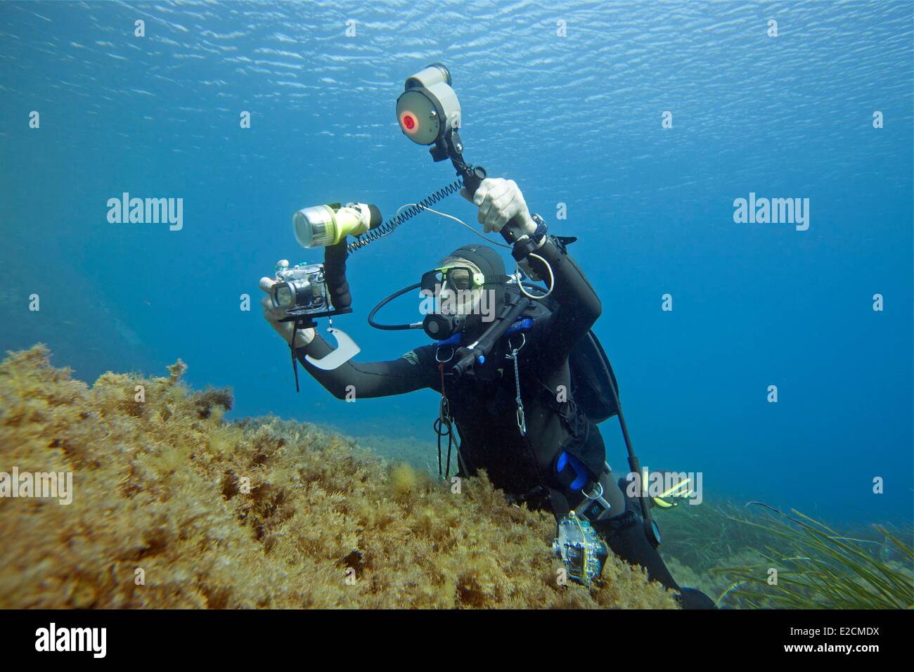 Algeria Habibas islands diver marine biologist Stock Photo - Alamy