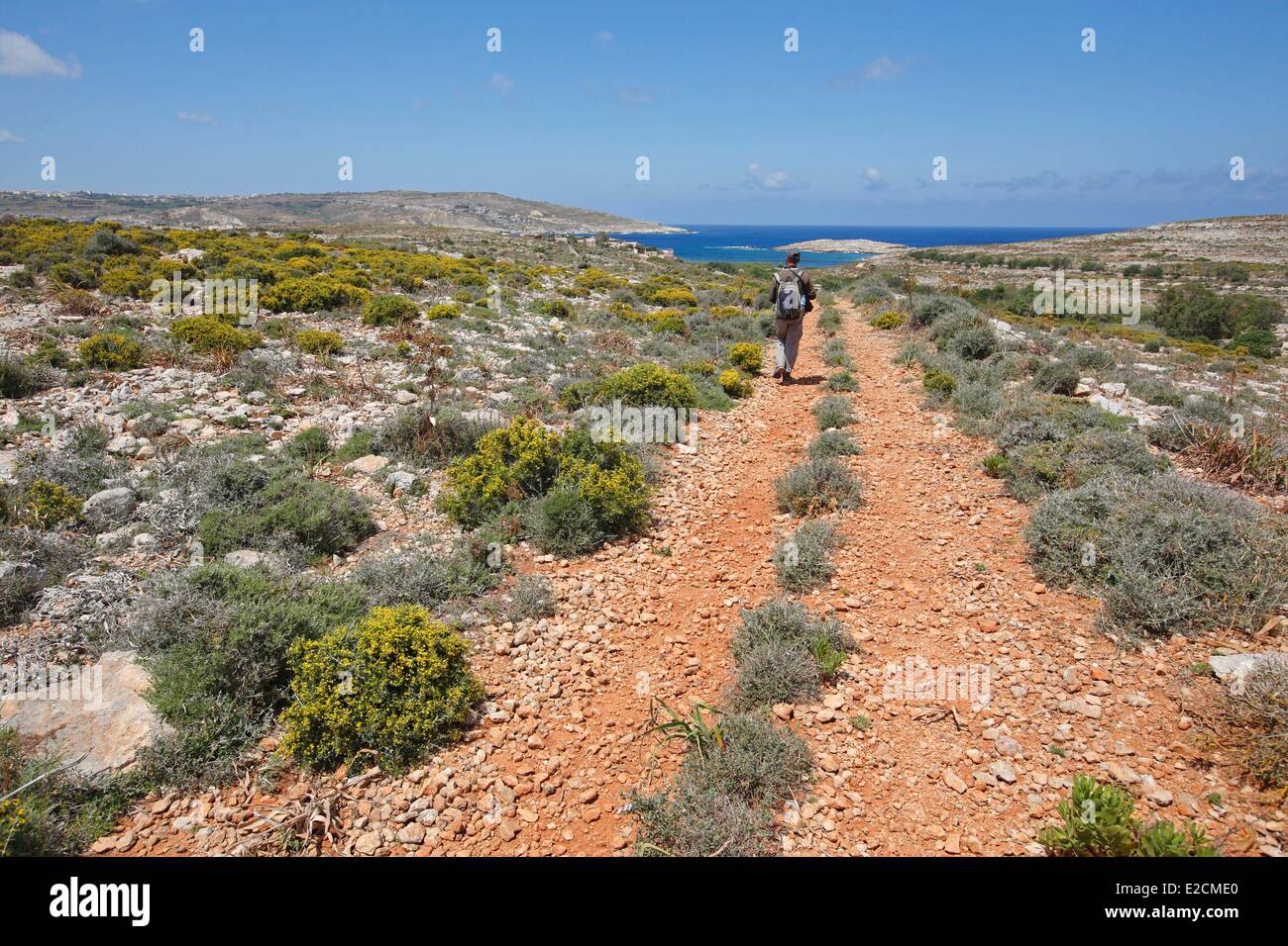 Malta Comino island track Stock Photo - Alamy