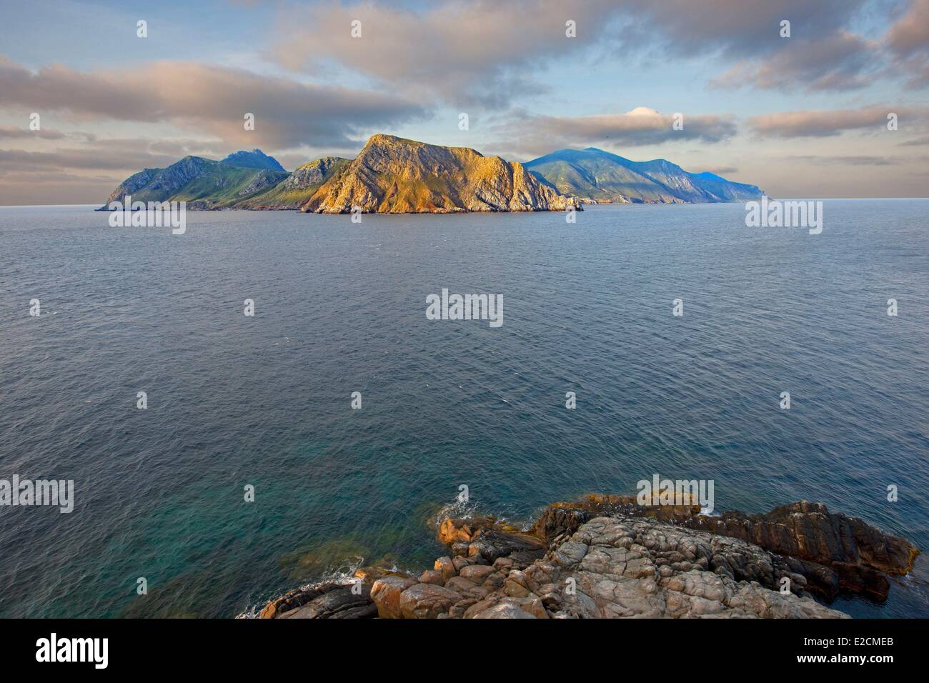 Galite High Resolution Stock Photography and Images - Alamy