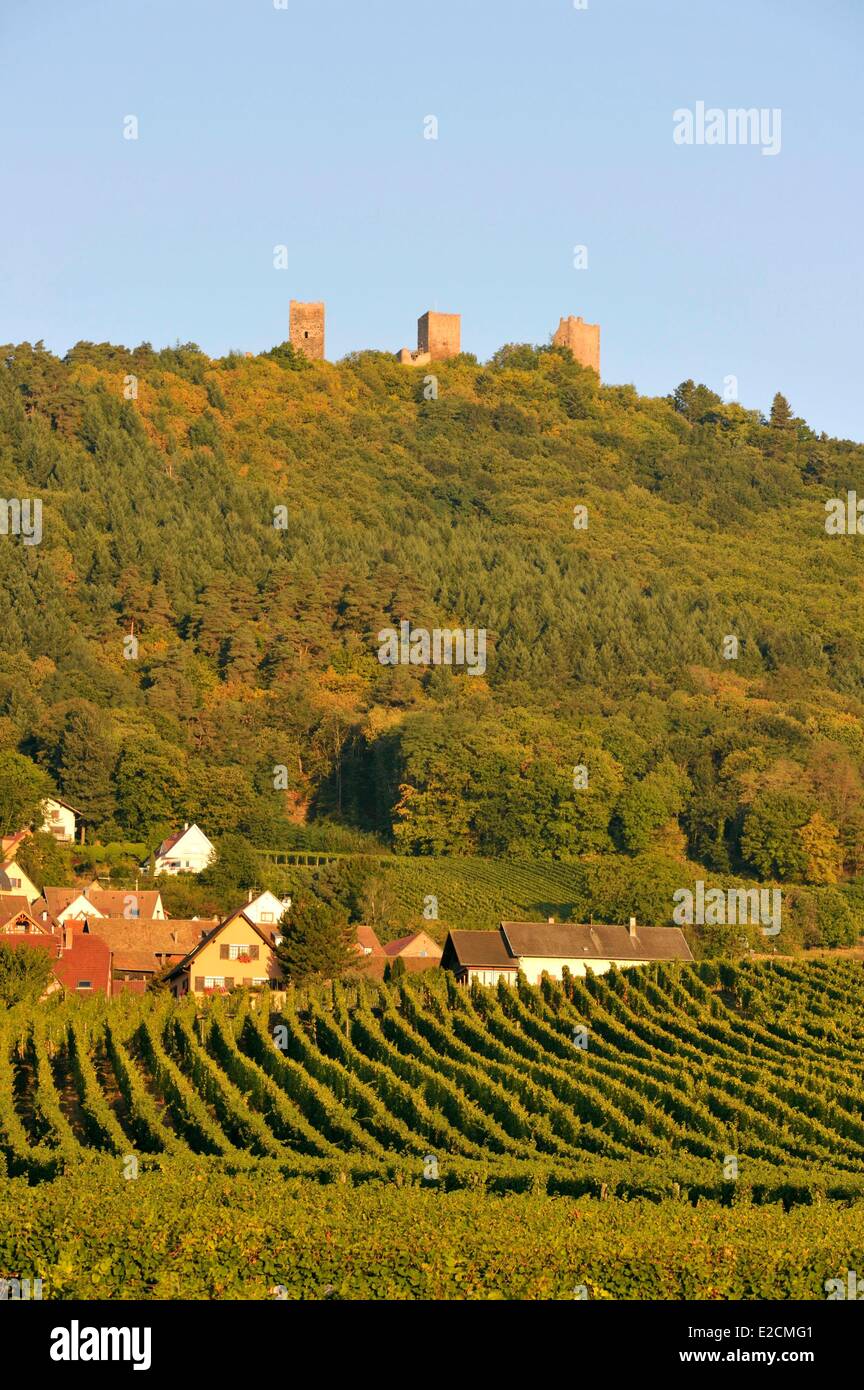 France Haut Rhin Alsace Wine Route Husseren les Chateaux Stock Photo ...
