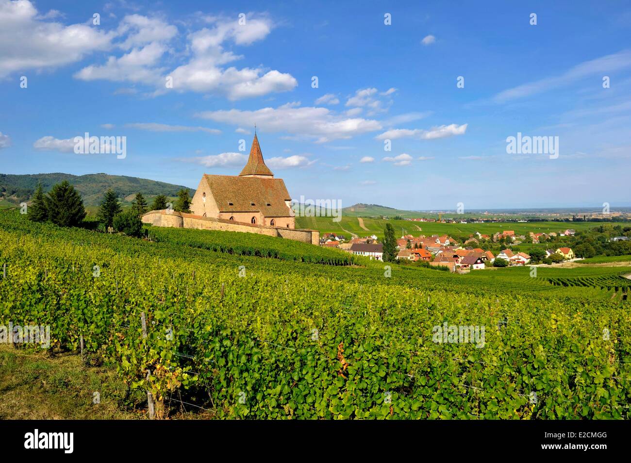 France Haut Rhin Alsace Wine Route Hunawihr labelled Les Plus Beaux ...