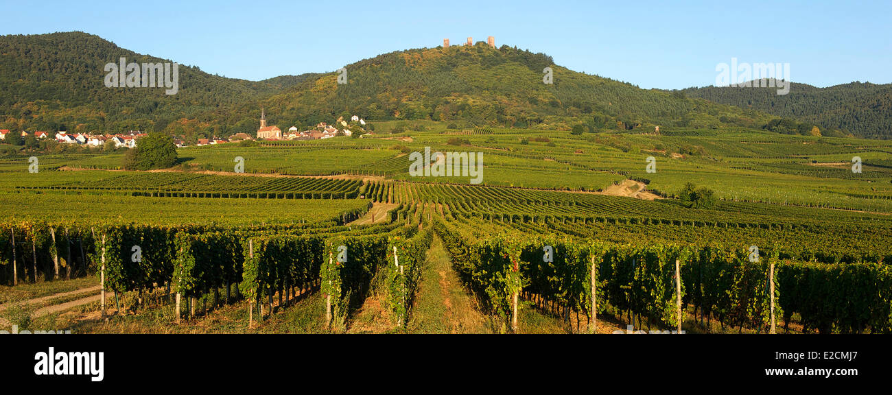 France Haut Rhin Alsace Wine Route Husseren les Chateaux Stock Photo ...