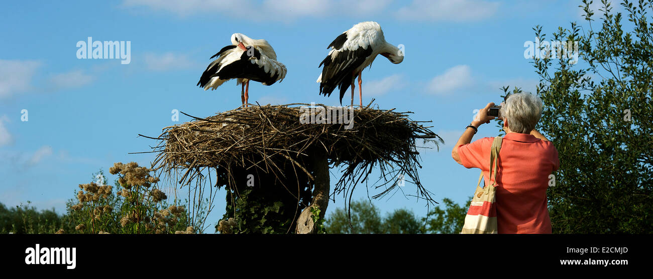 France Haut Rhin Hunawihr centre for reintroduction of storks in Alsace ...