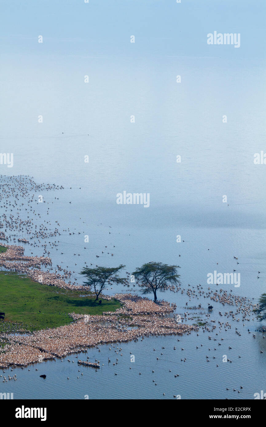 Nakuru lake aerial hi-res stock photography and images - Alamy